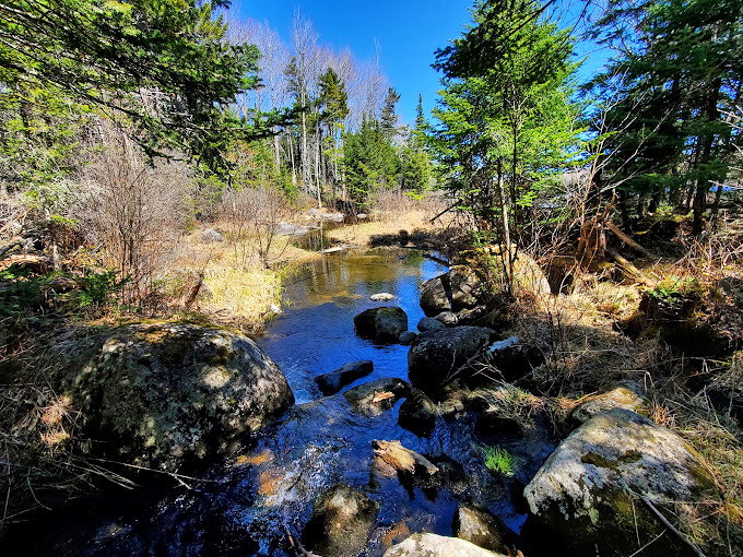 Mountain streams dance over ancient granite, nature's own rock garden that's been perfecting its arrangement for millennia.