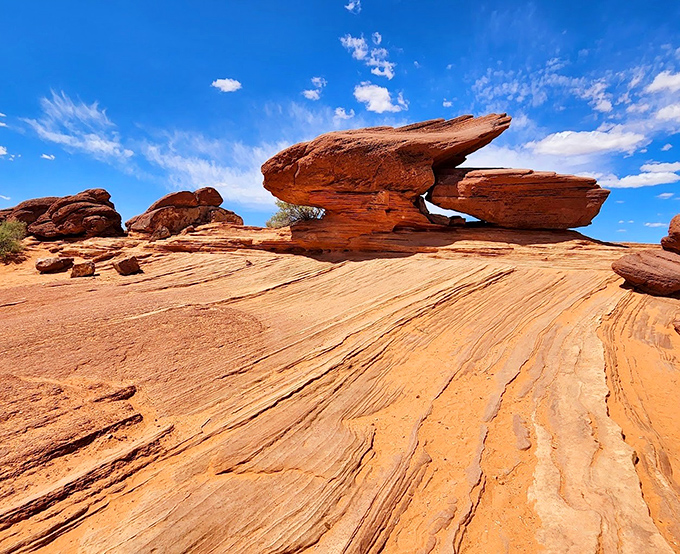 Desert artwork in stone - these balanced rock formations look like nature's sculpture garden, defying gravity with geological panache.