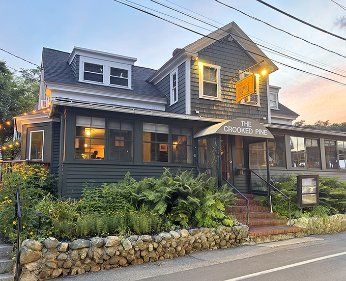 This charming green-shingled cottage restaurant emerges from lush ferns, promising farm-to-table magic that tastes like Maine's soul on a plate.