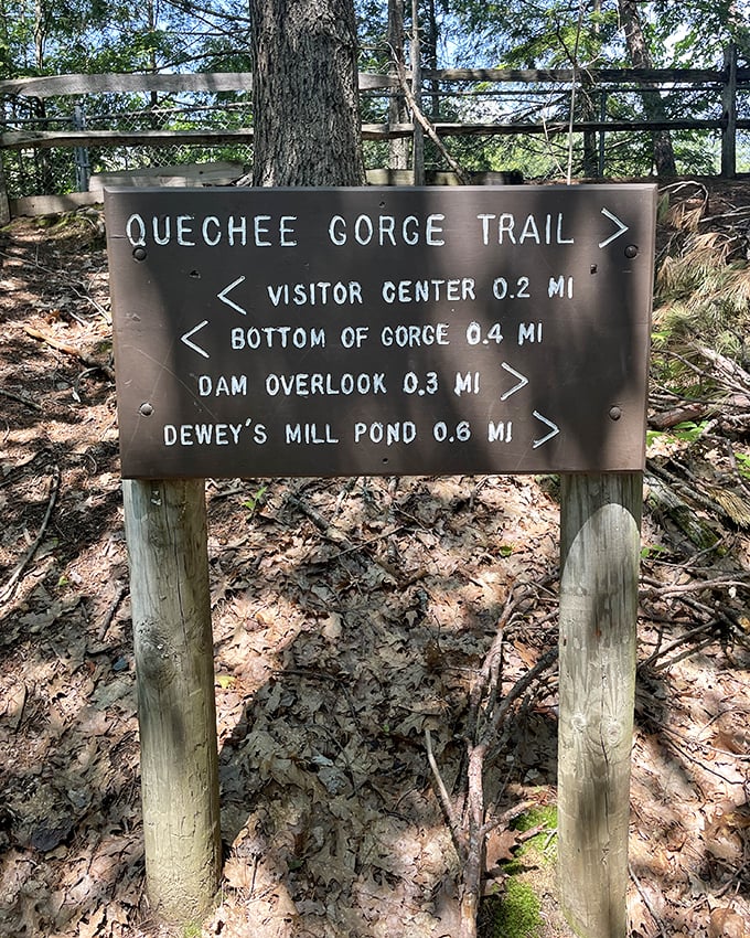 Trail signage that promises adventure: follow these directions to discover Vermont's deepest secrets, one switchback at a time.