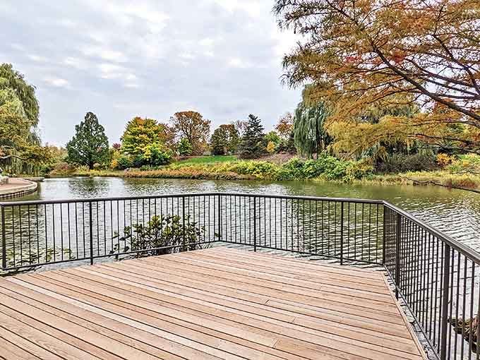 This viewing deck offers the perfect vantage point for contemplating nature's palette &ndash; no filter needed for these Instagram-worthy views!