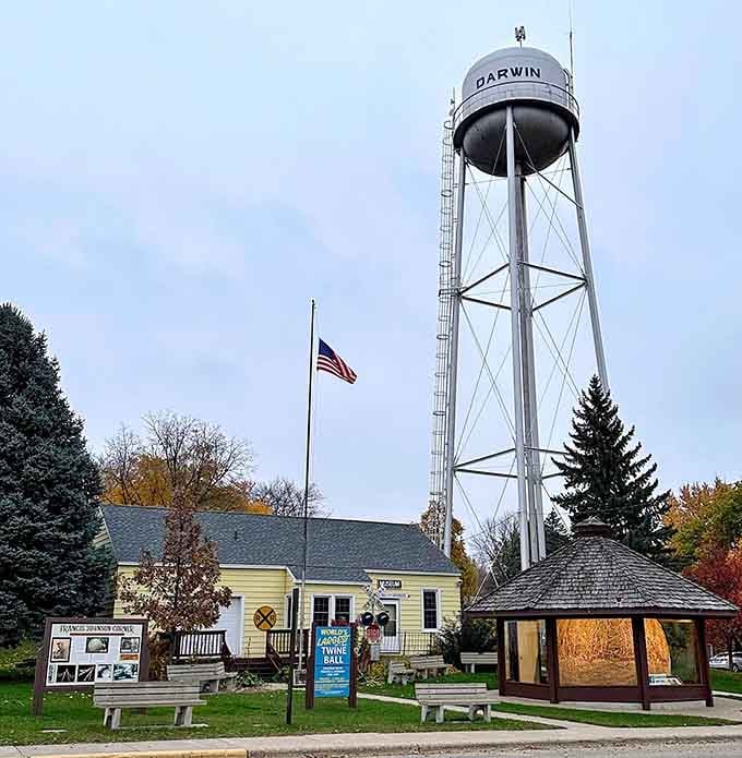 Darwin's water tower looms behind the attraction, a perfect pairing of small-town infrastructure and roadside wonder.