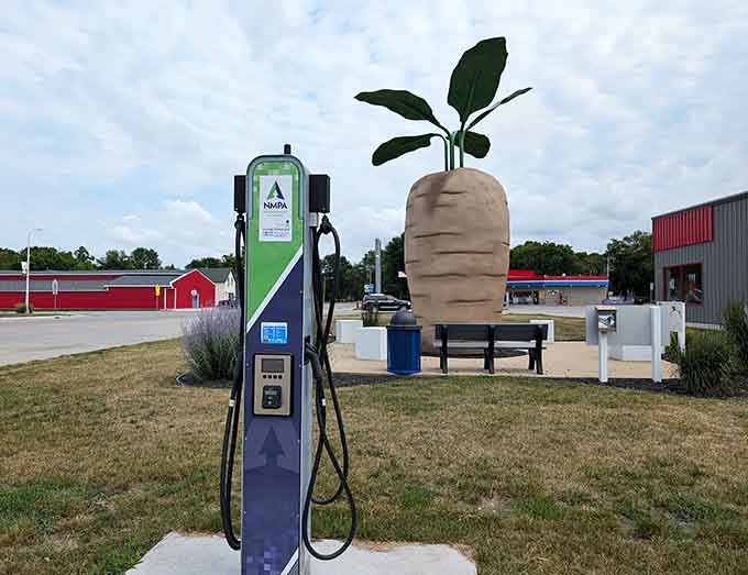 Even your electric vehicle can get some juice while you admire this massive tribute to Minnesota's sugar beet farming heritage, because Halstad is thinking about both past and future.