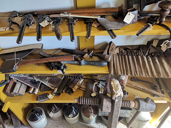 Vintage tools hang in rustic splendor, each worn handle and patinated surface telling stories of craftsmanship from an era when things were built to last generations.