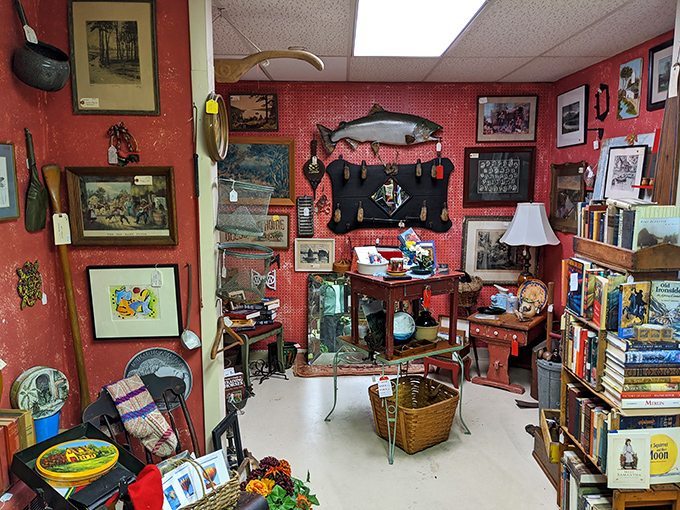 Every wall tells a story in this red-walled wonderland. That mounted fish probably has tales that would make Hemingway jealous.