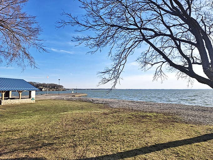 Morning tranquility at Catawba's shore, where the boundary between land and water blurs into a meditation spot that rivals any fancy spa retreat.