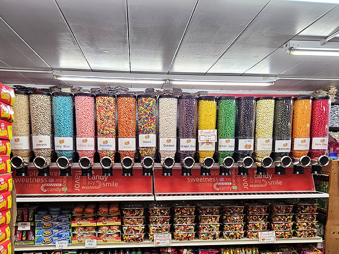 A rainbow army of candy dispensers stands at attention, each cylinder a portal to pure, colorful satisfaction.