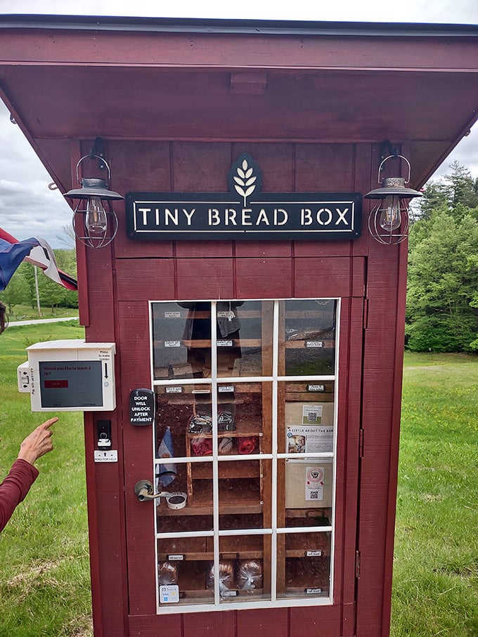 The iconic Tiny Bread Box sign flanked by vintage lanterns &ndash; rural Vermont's answer to the neon lights of big city bakeries.