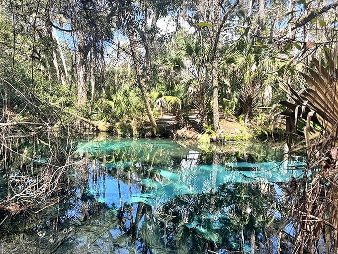 Mother Nature showing off her best work – crystal-blue waters create a natural masterpiece that no filter could improve upon.