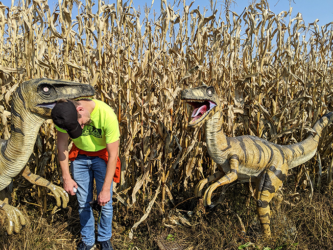 "Excuse me, sir, but I think you're in my spot." Life-sized dinosaur replicas add prehistoric charm to this agricultural adventure, surprising maze-goers when they least expect it.