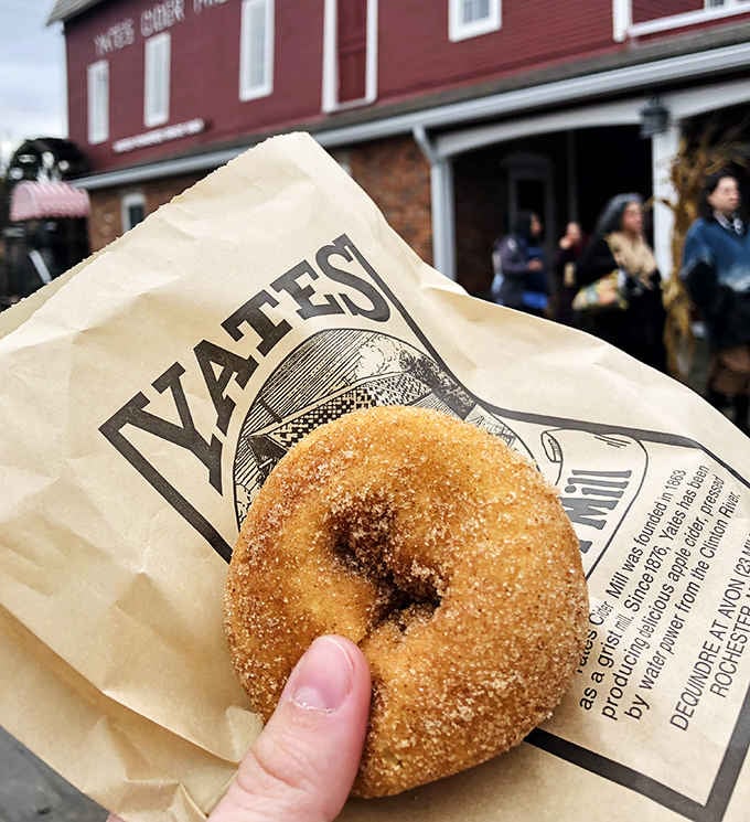 That first bite of a Yates donut is pure autumn bliss &ndash; warm, cinnamon-sugary perfection that's worth every minute spent in line.
