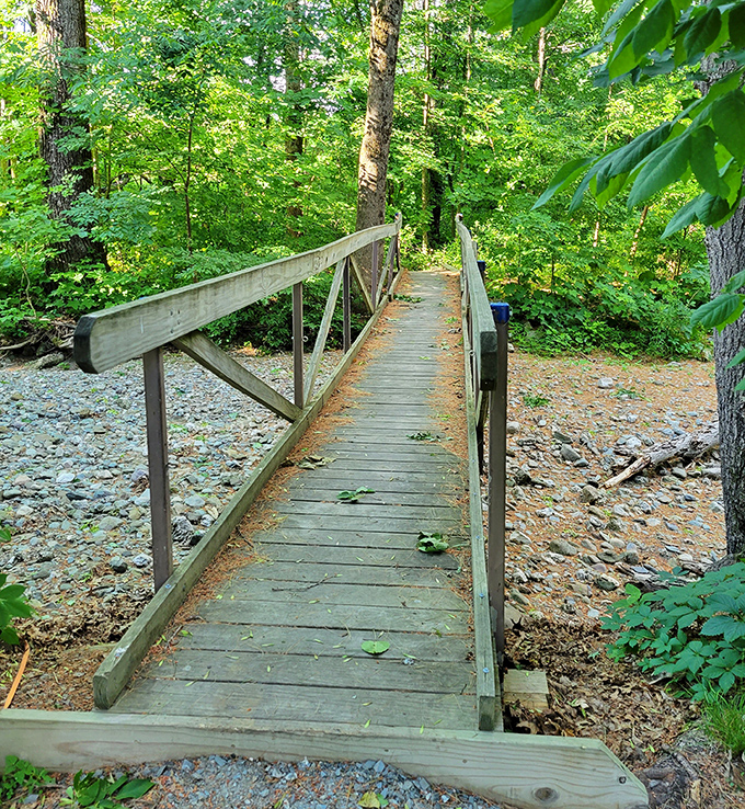 This wooden footbridge isn't just functional—it's practically begging to be the backdrop for family photos that'll make your holiday card recipients secretly jealous.