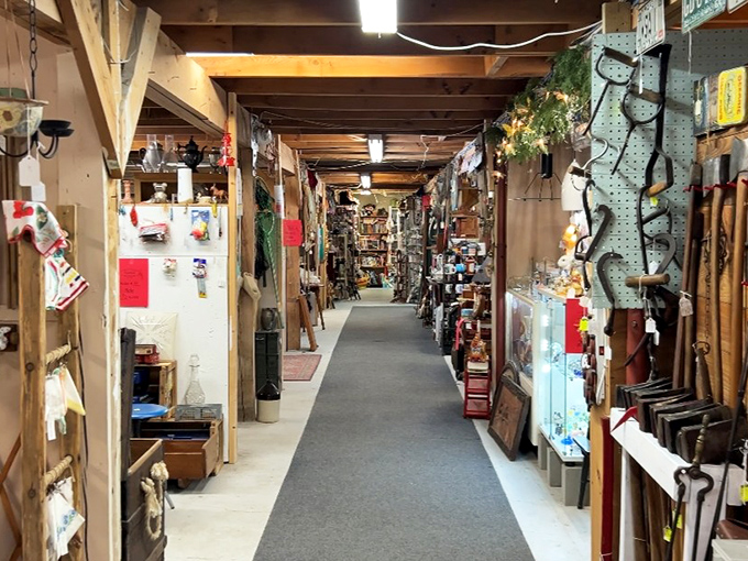 Down the rabbit hole you go! These corridors of curiosities stretch seemingly to infinity, each turn promising new discoveries.