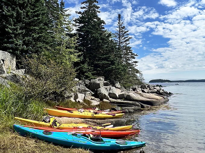 Adventure awaits! Kayaks lined up along Stonington's rocky shore, ready to carry explorers into the pristine waters of Penobscot Bay.