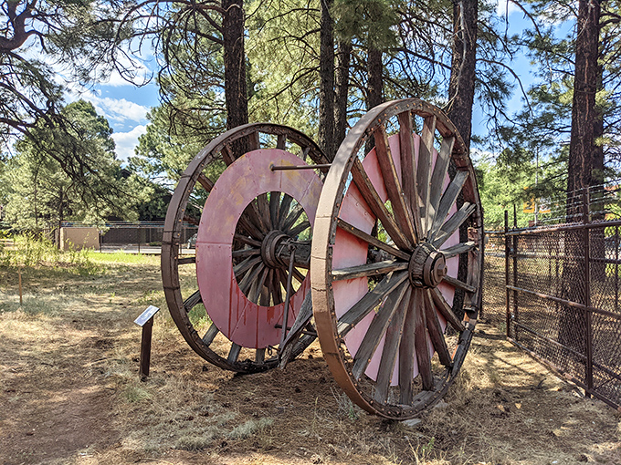 These massive logging wheels once hauled the very timber that built Flagstaff &ndash; now they rest as silent witnesses to industrial ingenuity.