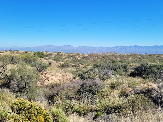 The distant mountains stand like ancient guardians, their purple silhouettes creating the perfect backdrop for contemplative moments.