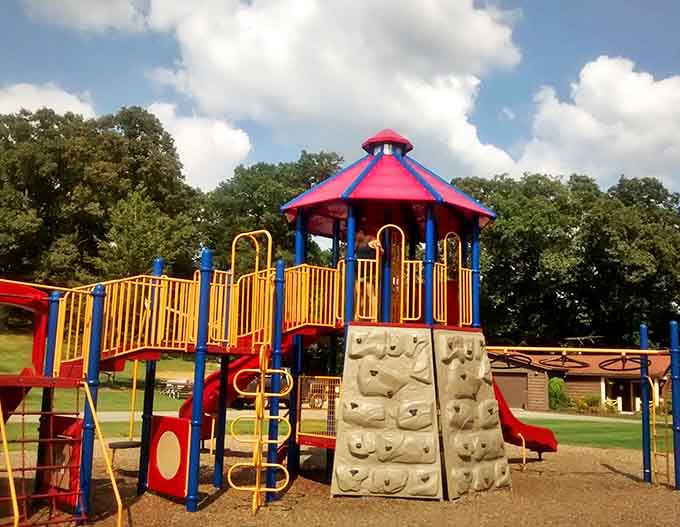 Childhood joy comes alive at the vibrant playground where laughter echoes against the backdrop of Michigan's natural splendor.
