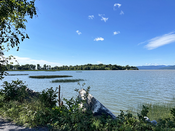 The trail provides countless scenic lakeside viewpoints where visitors can pause to watch sailboats drift across Champlain's sparkling waters.