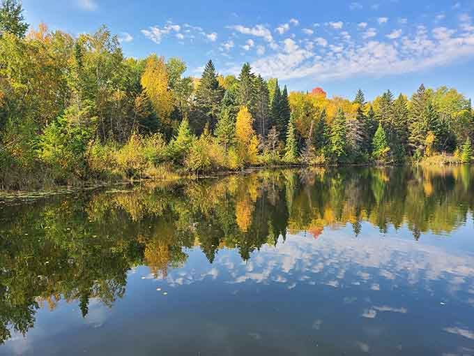 Mirror, mirror on the lake, showing off those fall colors like nature's own Instagram filter, no app required.