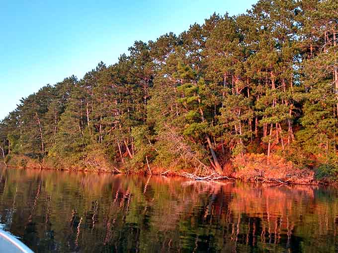 Towering pines stand sentinel along the shoreline, their russet reflections doubling the autumn splendor.