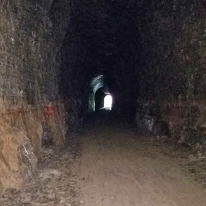 Looking out from inside the cave's cool embrace, sunlight filters through a perfect arch framing the forest beyond.