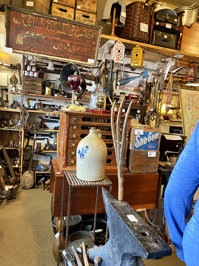 Shelves lined with vintage treasures create a wonderland of discovery where every glance reveals something you suddenly can't live without.