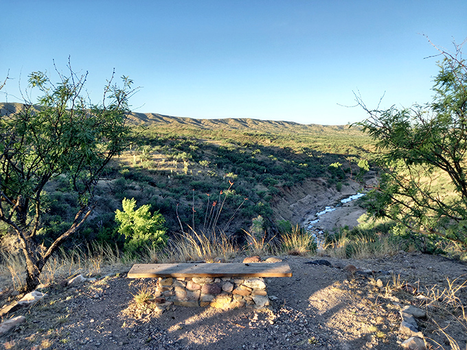 A rustic bench offers the perfect vantage point for soaking in sweeping views of Sonoita Creek's winding path below.