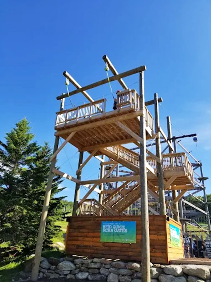 Looking up from below reveals the complex web of challenges awaiting brave souls willing to test their limits.