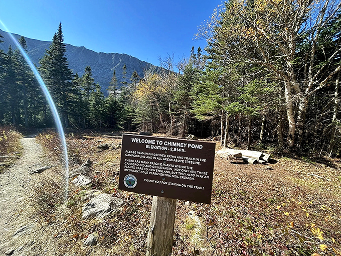 The Chimney Pond welcome sign stands sentinel at 2,914 feet, marking your arrival to one of Baxter State Park's most breathtaking natural amphitheaters.