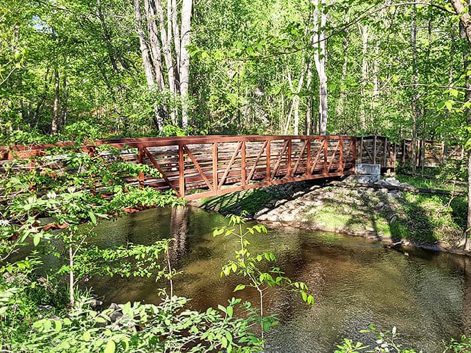 Sunlight dances on the wooden bridge, creating a pathway that seems to lead straight into a fairytale forest.