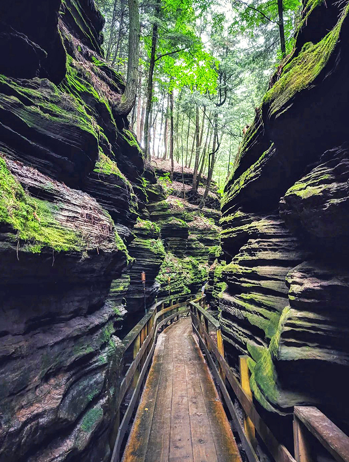 Nature's own haunted house! These moss-covered walls whisper secrets older than your grandma's cookie recipe.