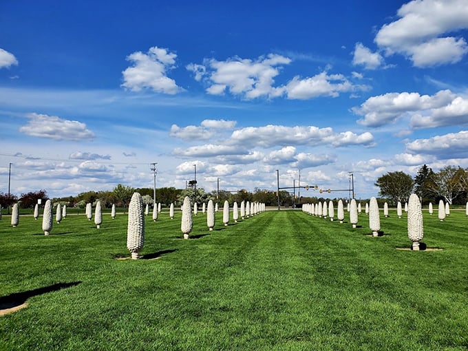 Cornhenge? Children of the Corn gone rogue? Nope, just Dublin, Ohio's Field of Corn. These 109 human-sized concrete ears stand at attention like some bizarre vegetable army. It's as if someone took "ears to the ground" way too literally.