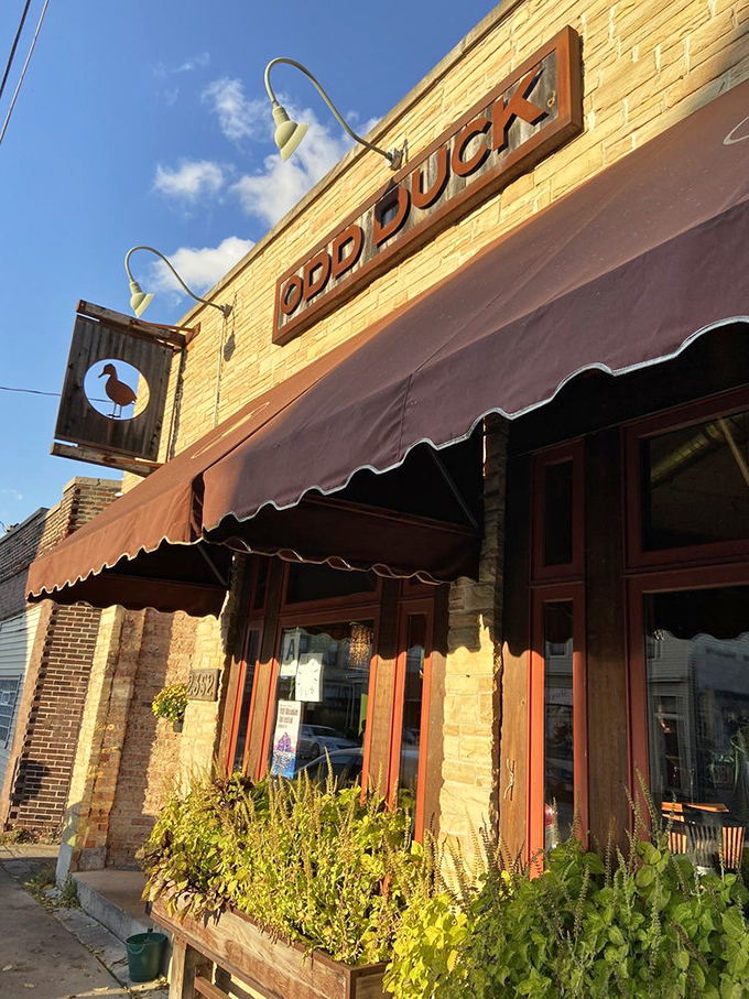 Small plates, big flavors! This eclectic eatery is like a culinary United Nations, where every dish is a delicious delegate.