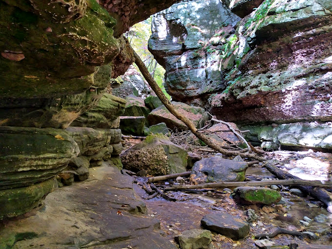 Mossy walls and tumbling streams create a hidden oasis. It's like stumbling into Rivendell, minus the elves (we think).