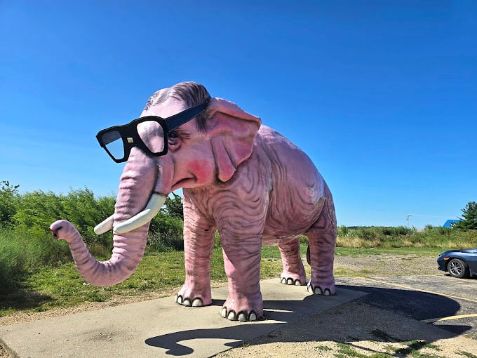 Dumbo's flamboyant cousin? This bespectacled behemoth proves that Wisconsin takes its roadside attractions very seriously indeed.
