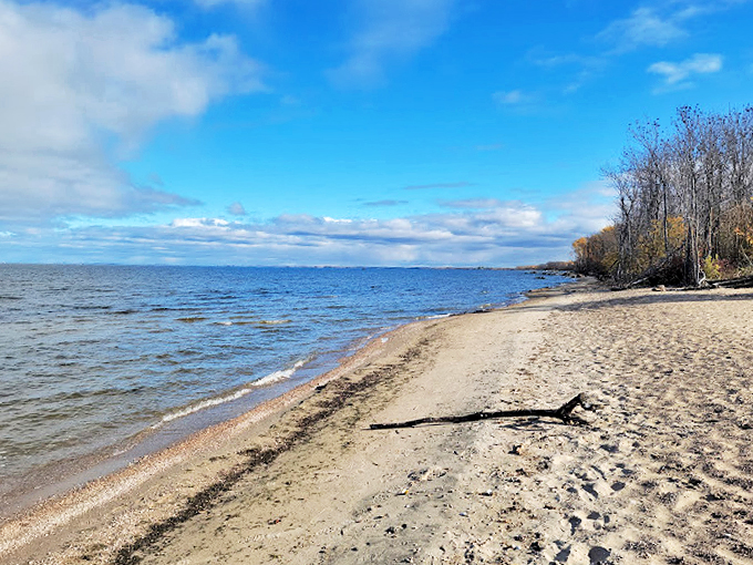 Bison and beaches? This park is the ultimate "surf and turf" experience, minus the lobster.
