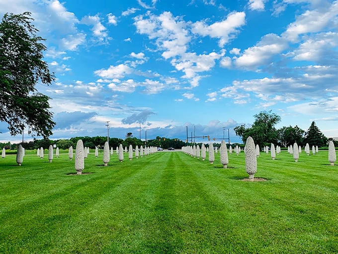 Imagine a farmer with OCD and a love for modern art. The result? Dublin's Field of Corn. These perfectly aligned, 6-foot tall concrete cobs are a surreal sight. It's like nature decided to go minimalist and monochrome. Butter not included.