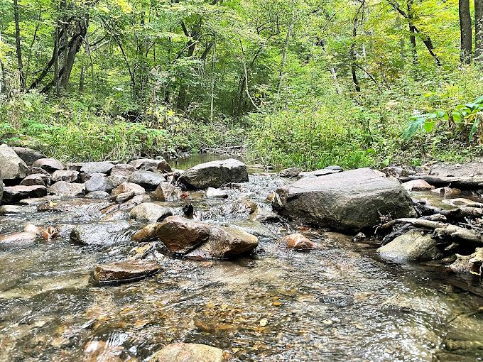 Nature's own secret garden! This lush gorge feels like it should be guarded by talking animals or friendly woodland sprites.