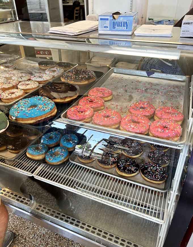 Colorful donuts lined up like edible jewels, each one a small masterpiece of icing and sprinkles waiting for its moment.