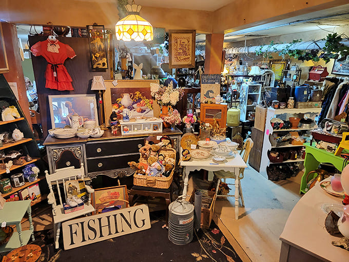 Every corner reveals new discoveries in this wonderland where taxidermied critters keep watch over glassware, because why should shopping be predictable?