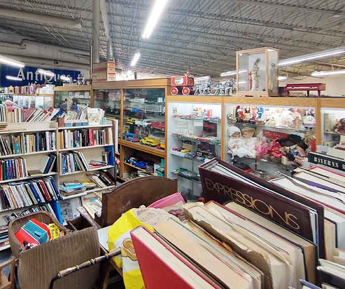 Books stacked and shelved create a literary landscape where you can find everything from vintage cookbooks to novels with cover art that's absolutely wild by today's standards.