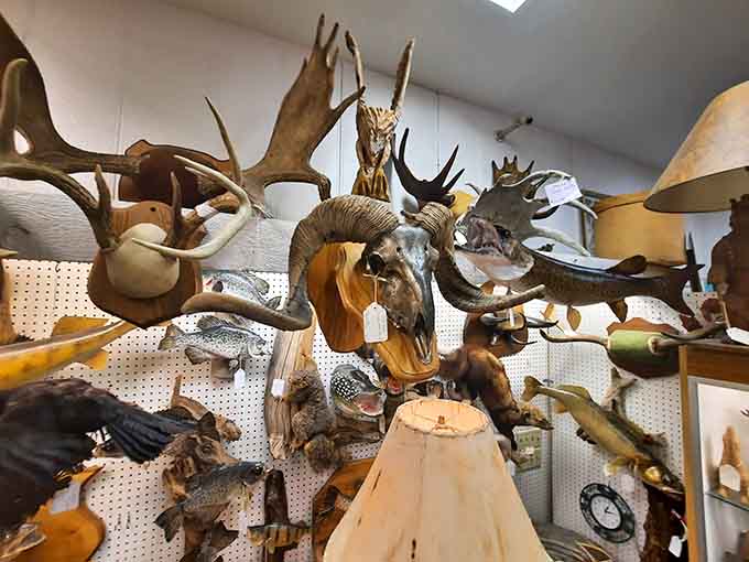 This impressive collection of antlers and skulls creates a natural history museum vibe that would make any cabin owner green with envy.