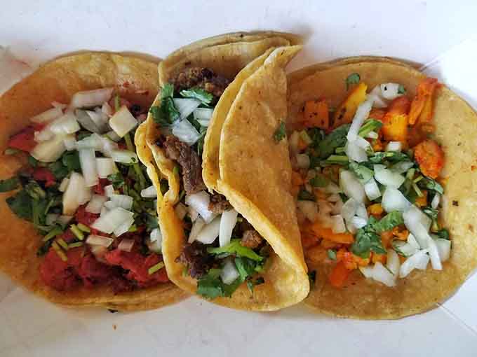 Three tacos, three different fillings, one undeniable truth: this cafe knows what it's doing with Mexican food.