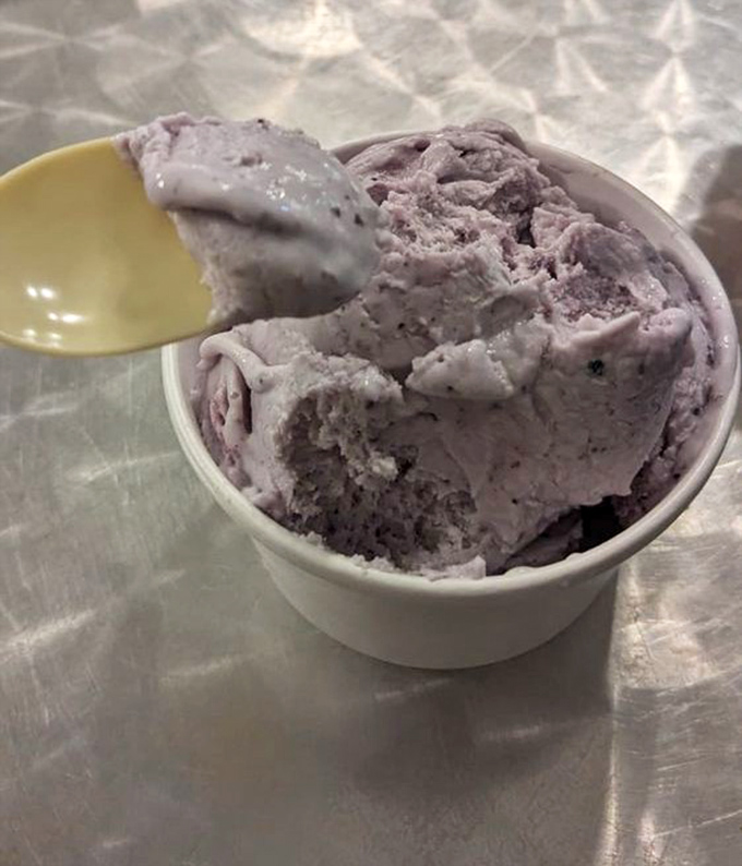 Maine blueberry ice cream that tastes like summer captured in a cup &ndash; wild berries transformed into a purple-hued dream that locals wait all year for.