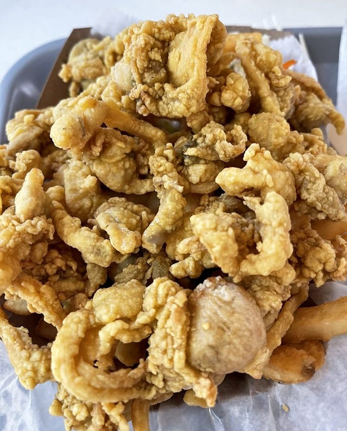 Golden, crispy perfection in every bite, these whole-belly clams show why Bob's has been famous since 1956.