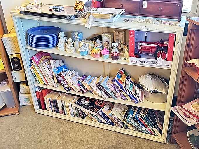 Books stacked with the organized chaos of a bibliophile's dream &ndash; where forgotten bestsellers and quirky community cookbooks share shelf space.