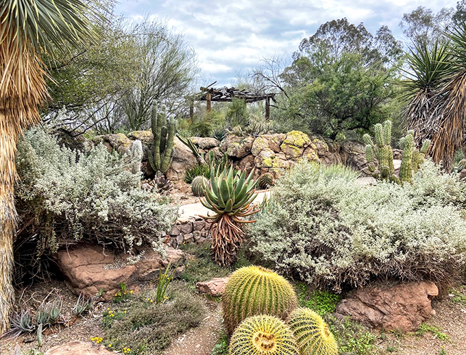Welcome to nature's own Tetris game! This desert garden is where cacti and succulents compete for the title of "Most Likely to Make You Say 'Ouch!'"