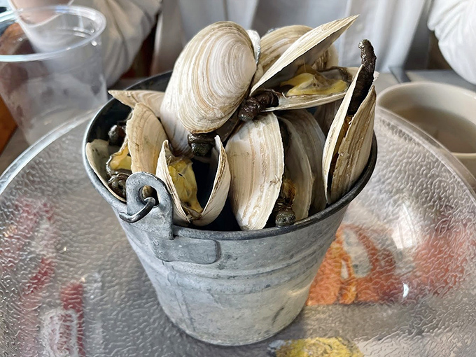 These steamed clams arrive in a humble metal bucket, yet deliver a flavor explosion that makes first-timers gasp and regulars sigh with contentment.