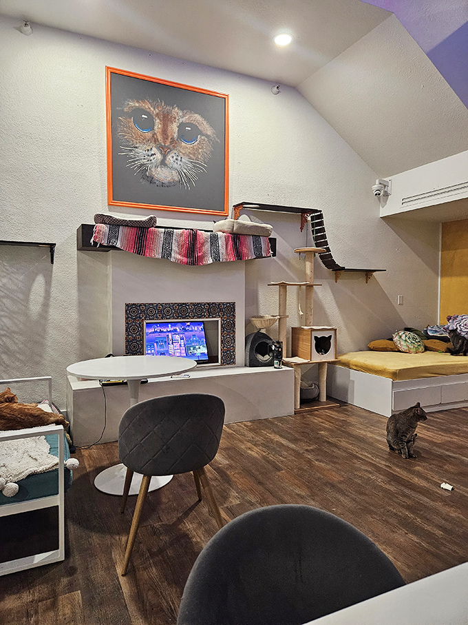 Art imitates life at El Jefe, where this striking cat portrait captures the soulful gaze that makes us fall in love with felines.