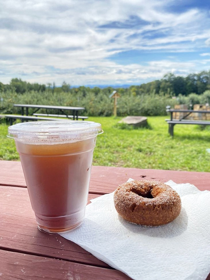 A perfect pairing: the legendary cider slushie meets its soulmate, a cinnamon-sugar donut, with the orchard's rolling hills providing a picturesque backdrop.